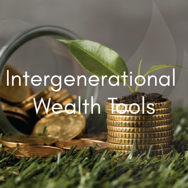 Intergenerational Wealth Tools - LuciaDeKlein